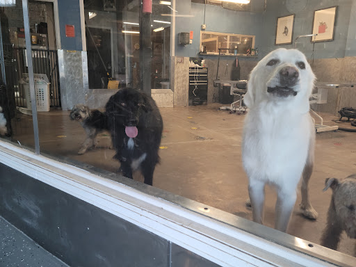 Denver Animal Shelter - Rating 4.3 & 1450 Votes - 1241 W Bayaud Ave ...